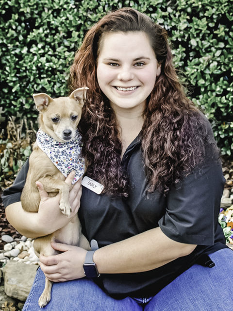 Dog Boarding - Miss Kitty's Dog Resort | Nashville, TN